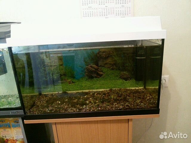 Аквариум