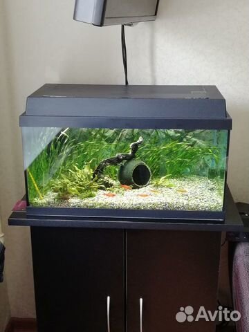 Аквариум juwel60. 54л