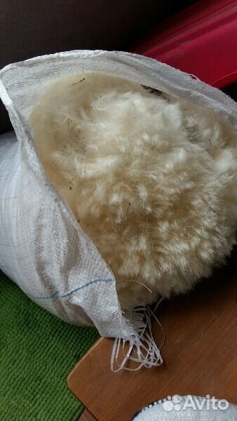 Продам шерсть овечью