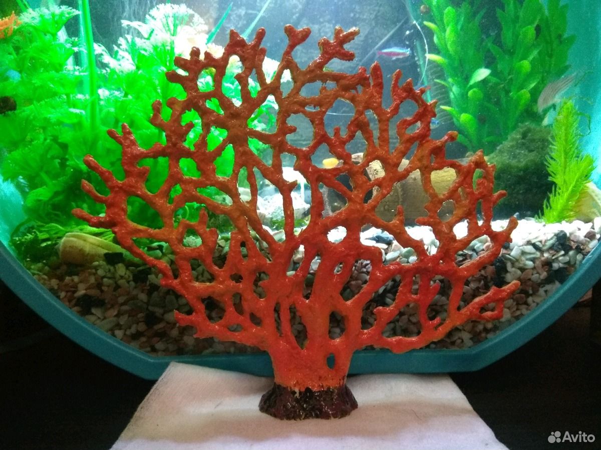 Коралл искусственный