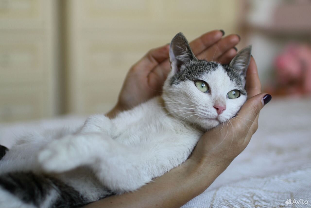 Очаровательная красавица Лили в дар