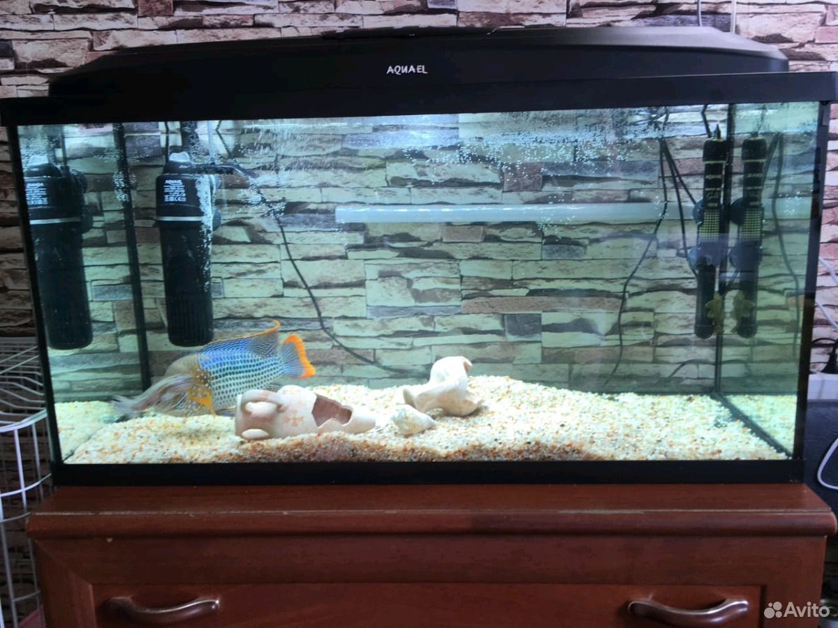 Аквариум