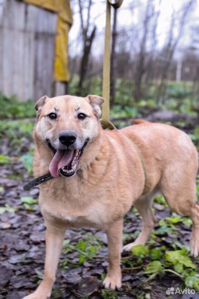 Доброжелательная девочка