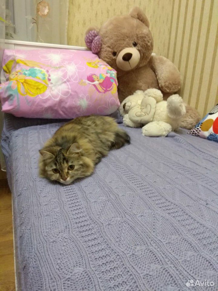 Кошечка