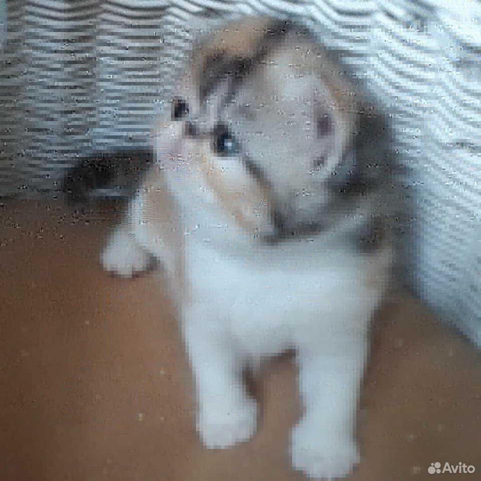 Плюшевая Лялечка