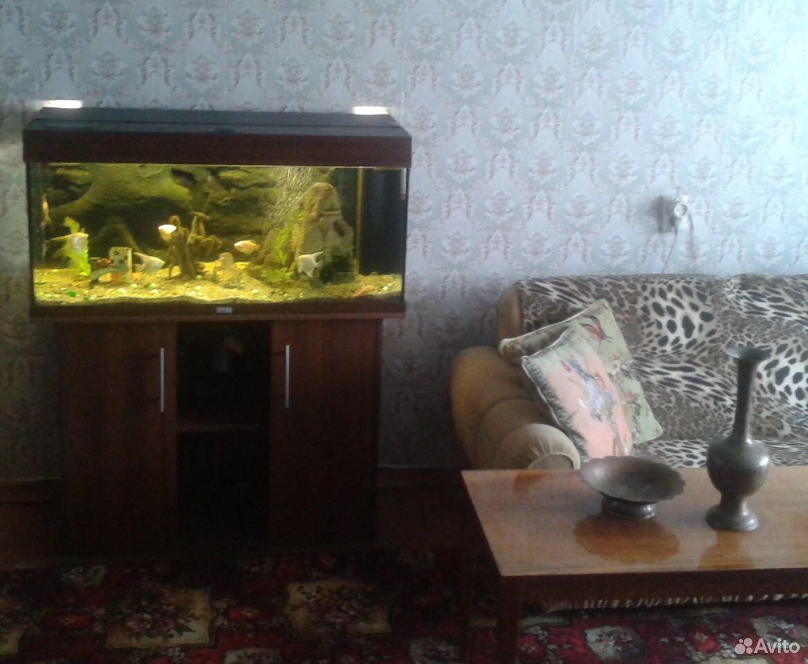 Аквариум с рыбками
