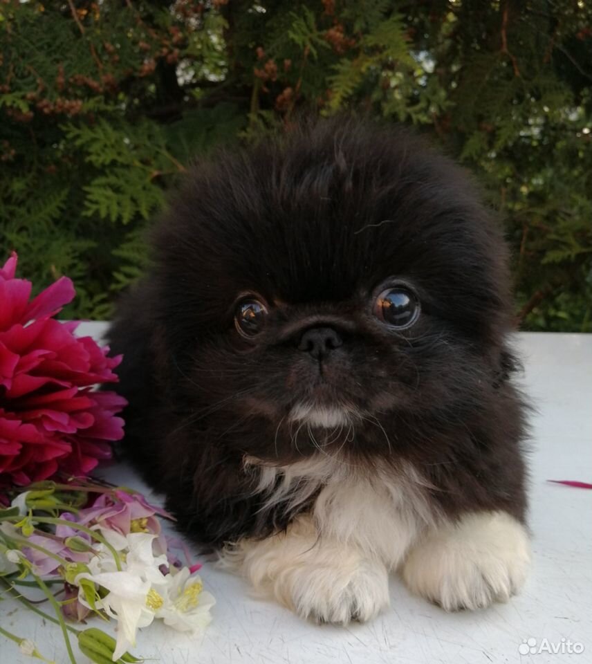 Красавчики и красавицы