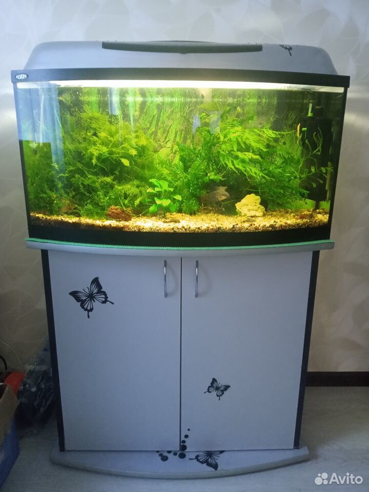 Аквариум 100 л