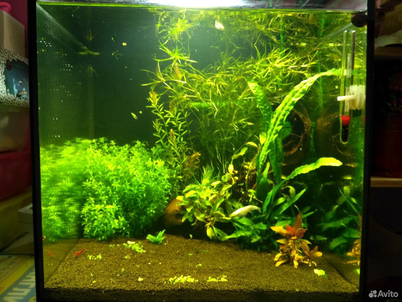 Аквариум кубик 30л