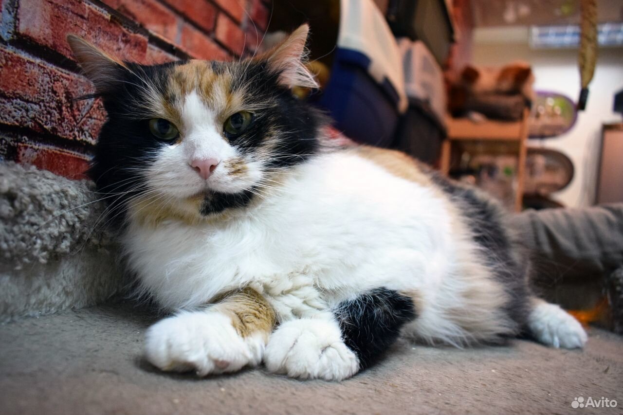 Бусинка 1 годик