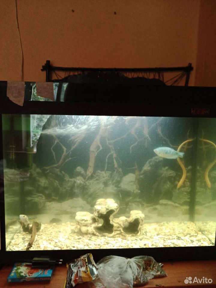 Аквариум с рыбками