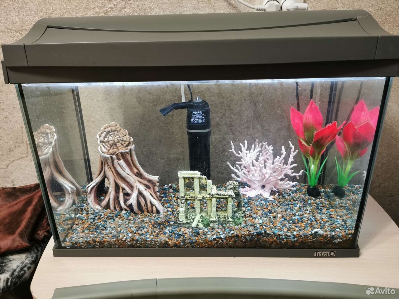 Аквариум