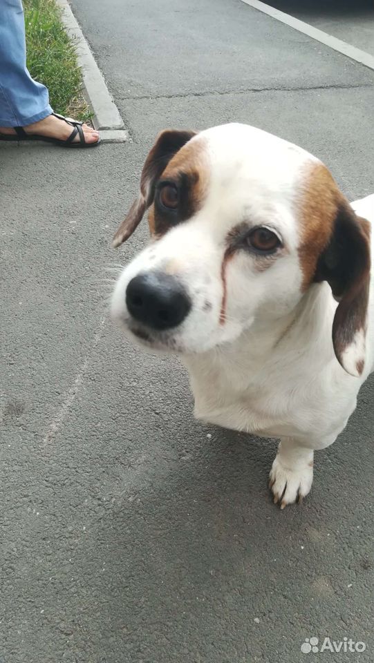 Крошка-очаровашка ищет друга:)