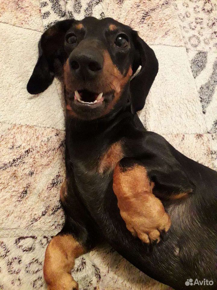 Ищем жениха