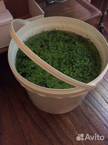 Трава для аквариума