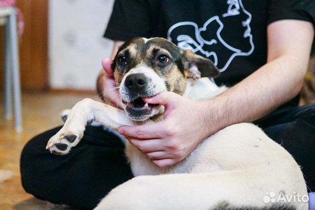 Малышка Соня