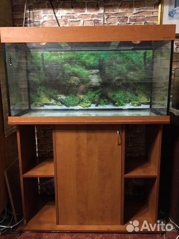 Аквариум 200 л. с тумбой