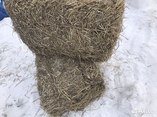 Солома в тюках