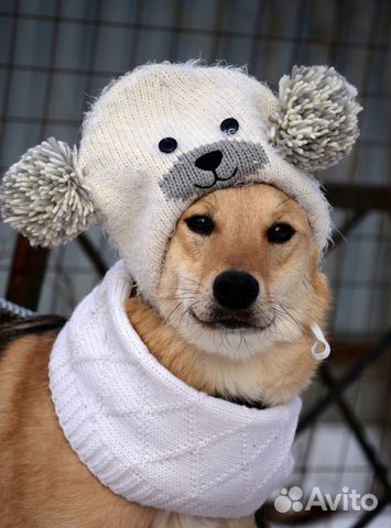 Веселый мальчишка Том