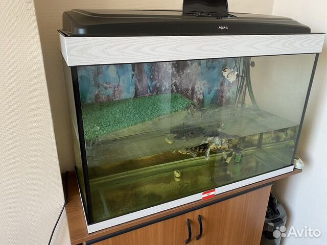 Аквариум с фильтром и черепахами