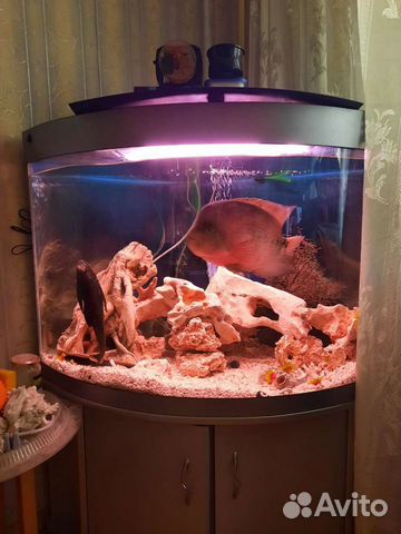 Аквариум с тумбой