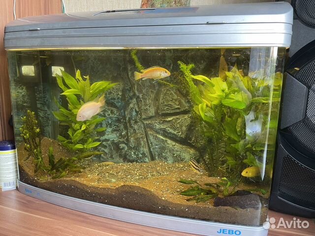 Аквариум с рыбками