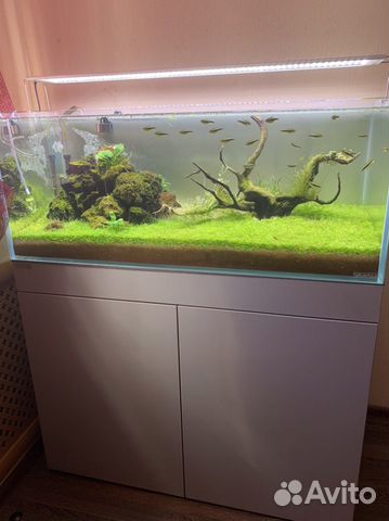 Аквариум