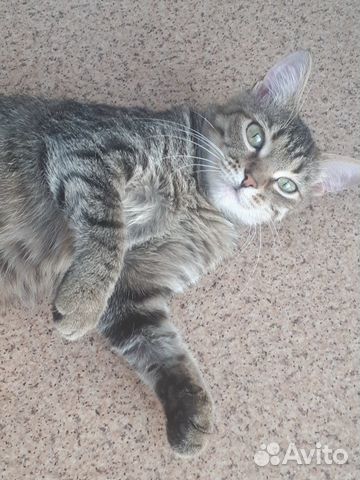 Викуська ласковая милашка