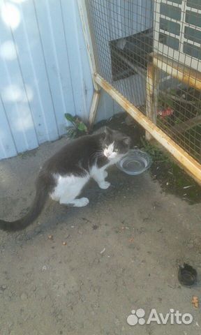 Заберите счастье домой