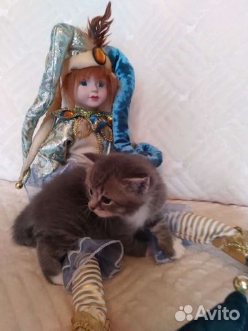 Британчики