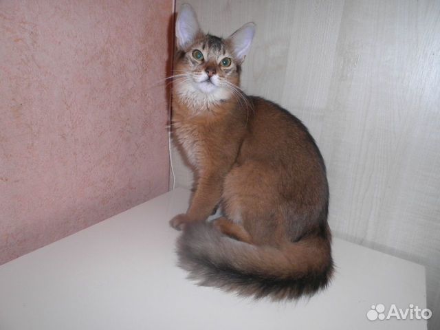 Сомалийские мальчик и девочка