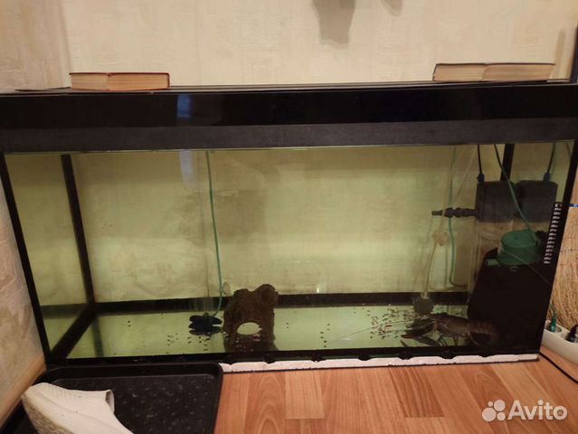 Аквариум 200л + австралийский рак