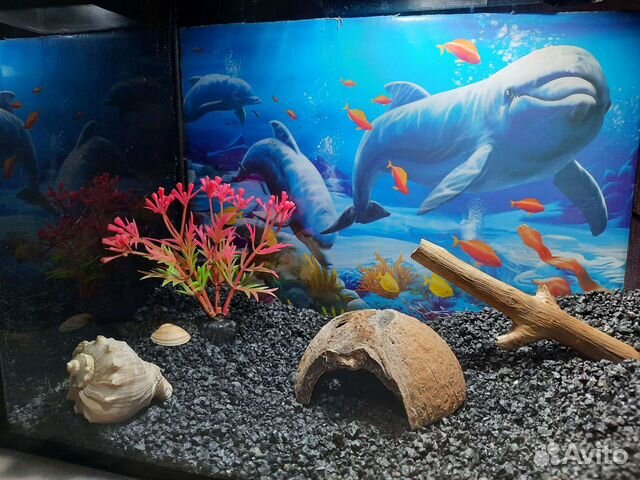 Аквариум 15 л