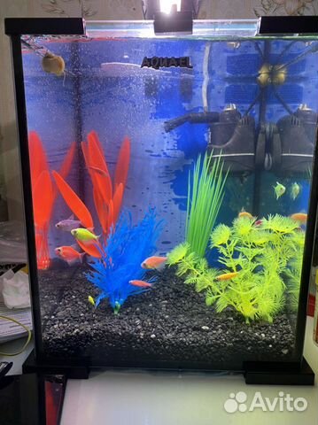 Аквариум aquael