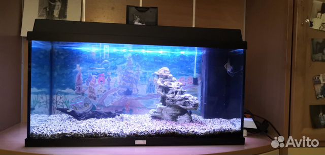 Аквариум с рыбками