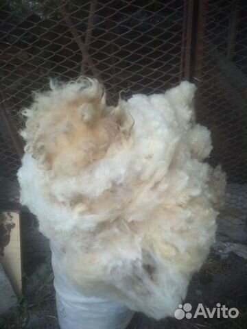 Овечья тонкорунная шерсть, не странная, для пряден