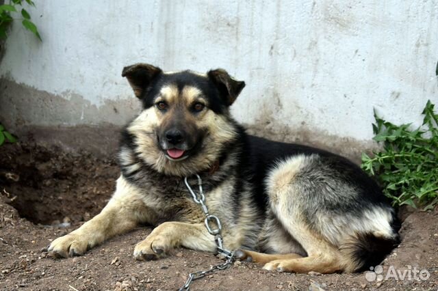 Мальчик в самые добрые руки