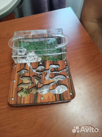 Муравьиная ферма с муравьями