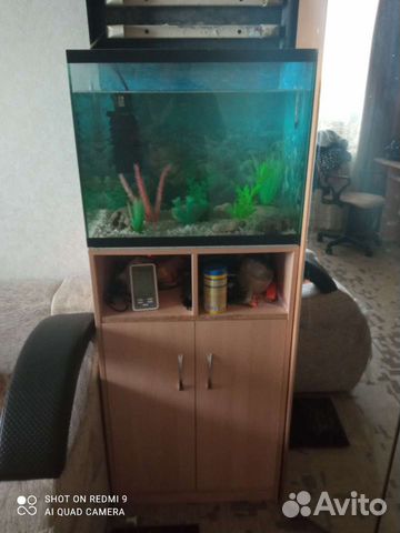 Аквариум