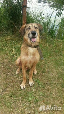 Лео очень хочет свою семью