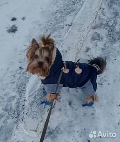 Кукольный мальчик