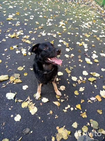 В хорошие руки