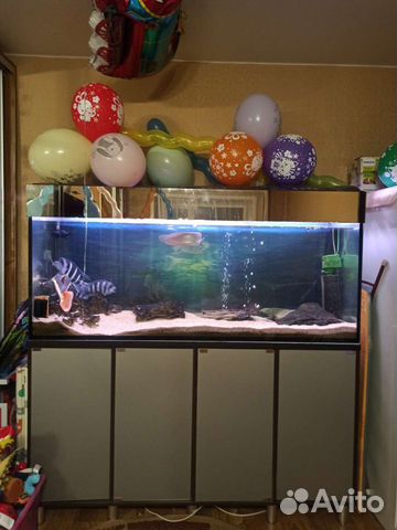 Аквариум