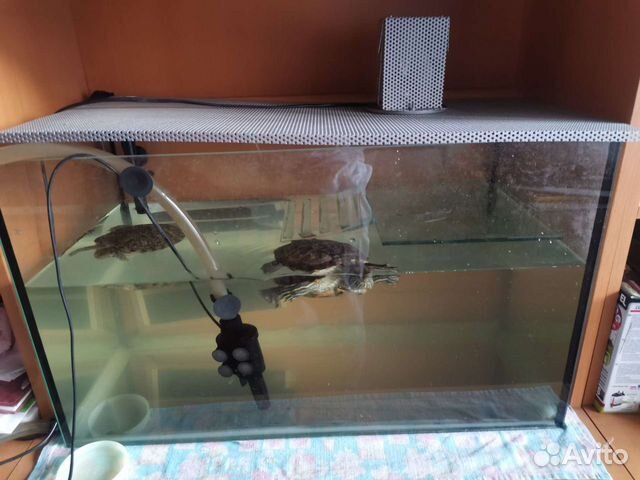 Черепаха с аквариумом и фильтром