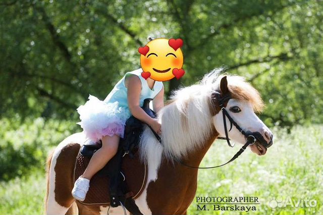 Продам пони лошади