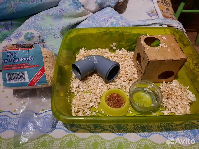 Мышь с клеткой