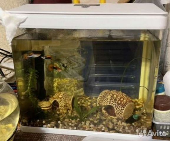 Аквариум prime 15л