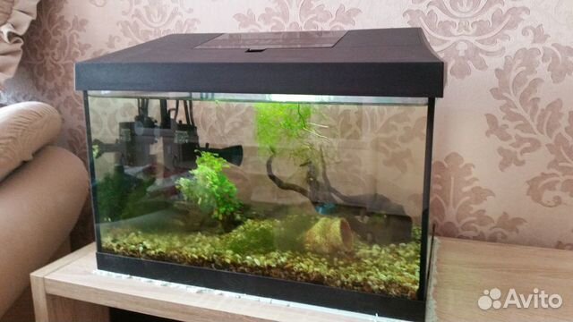 Аквариум