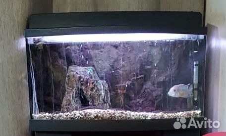 Продам аквариум
