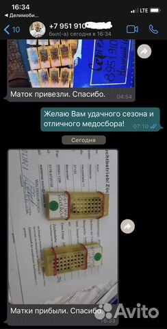 Карника F1 Пешец 2022